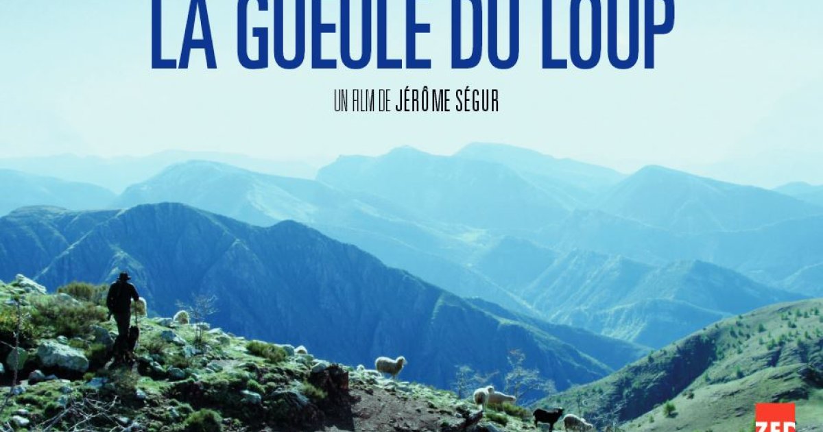 Hautes-Alpes: Le loup déchaîne les passions : c'est le sujet du ...